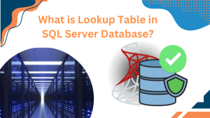 Overview of Lookup Table in SQL Server Database